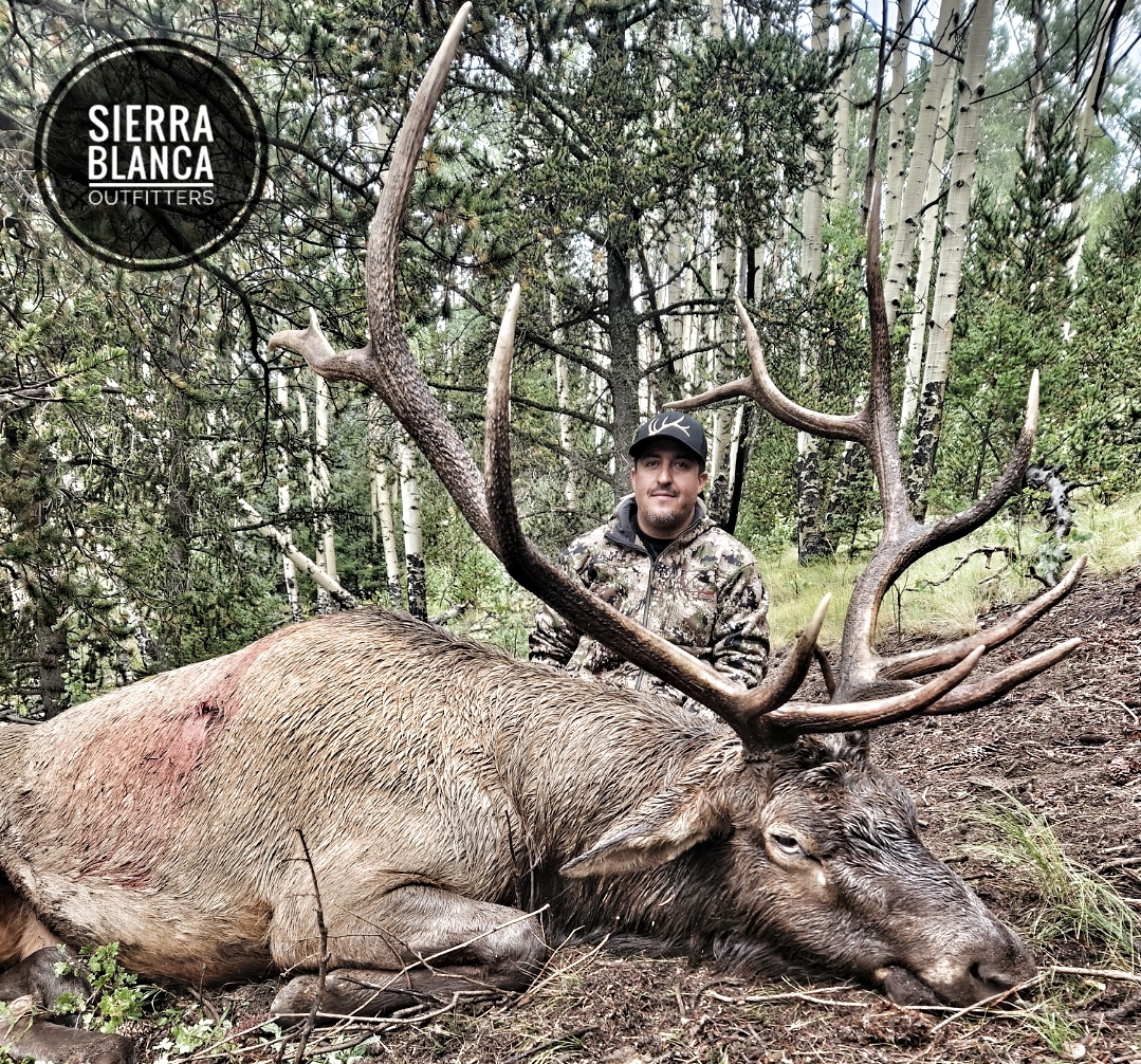 Hunting Elk in Valle Vidal New Mexico - Sierra Blanca Outfitters