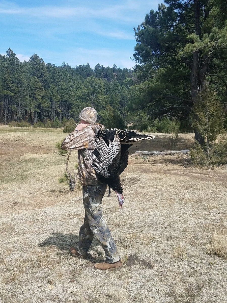 Merriam Turkey Photos - Sierra Blanca Outfitters