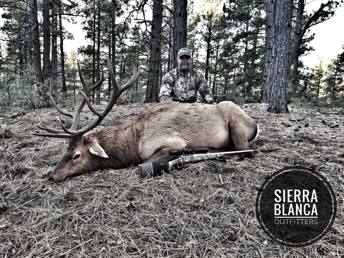 New Mexico Archery Elk Hunting | Elk Hunting with Rifle