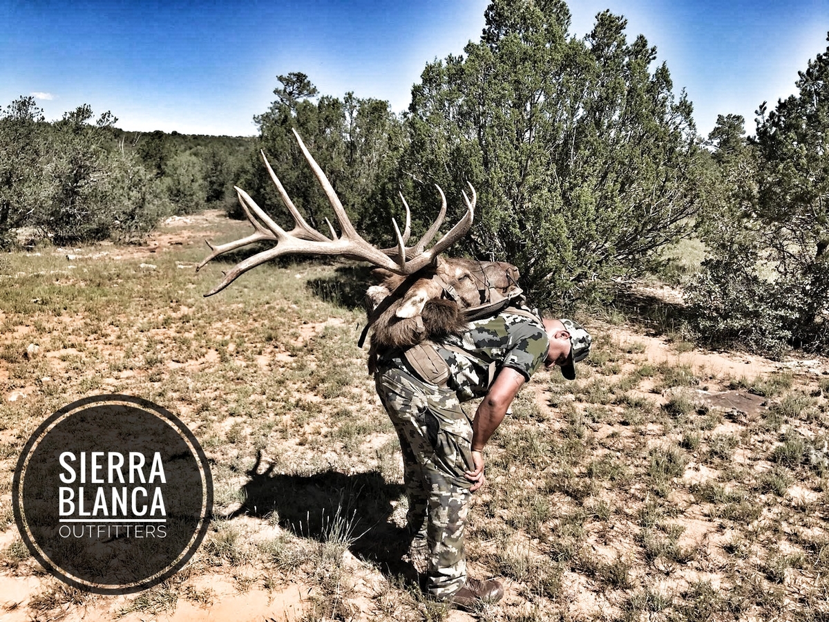 Page 5/13 - Elk Photo Gallery - Sierra Blanca Outfitters